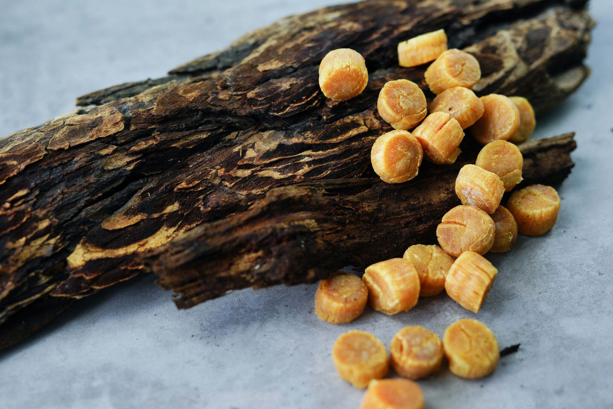 Dry Scallops – LB – Cooper's Cove